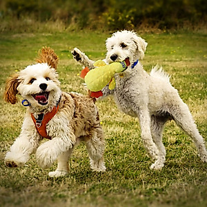 Alphatool Squeaky Dog Toys, Duck Dog Toys for Aggressive Chewer, Tough Plush Dog Toys for Large Dogs, Crinkle Interactive Puppy Dog Toys for Small Medium Dogs (3pcs)