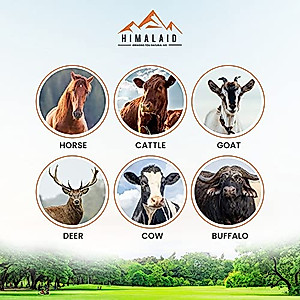 Himalaid Himalayan Salt Lick on Rope for Horses, Cattles, and Other Livestock, 2.5 LBS Each (9 Pack)