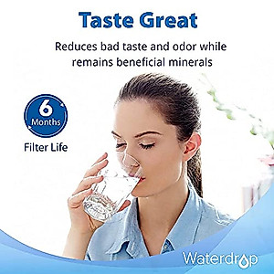 Waterdrop Countertop Water Filter, Replacement for AQ 4035, AQ 4025, Will Fit AQ4000, AQ4050, AQ4500 Drinking Water Systems