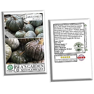 Jarradale Pumpkin Seeds for Planting, Pale Green Color, (Jarrahdale) 10 Heirloom Seeds, (Isla's Garden Seeds), Non GMO Seeds, Botanical Name: Cucurbita Maxima, Great Home Garden Gift