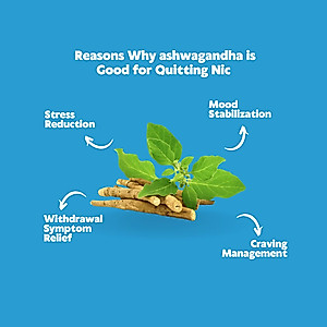 Quit-NIC, Quit Smoking Gummies, with Ashwagandha Calming QUITNIC to Help Stop Smoking Gummies, with Herbal All-Natural Ingredients - Support Your Journey to a Smoke-Free Life (60 Count)