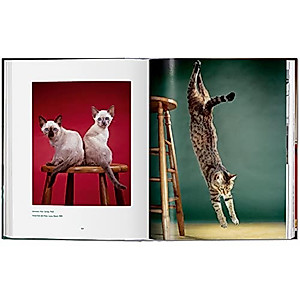Cats: Photographs 1942 - 2018