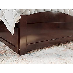 AFI Warren Twin XL Size Platform Bed with Footboard, Storage, & Charging Station in Walnut