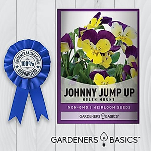 Violet, Johnny Jump Up Flower Seeds for Planting - Flower Seed Packet Annual Flower Open Pollinated, Non-GMO Variety- 1 Gram Seeds Great for Summer Seeds for Flower Gardens by Gardeners Basics
