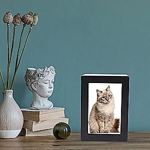 Cuodia Pet Urns Pet Cremation Urn,Dog Urns for Ashes, Cat Urn for Ashes, pet urns for Dogs Ashes Small, Wood Keepsake Memorial Urns. (Black S)