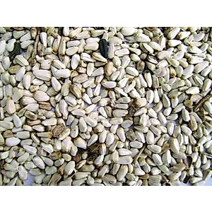 Shafer Seed Company 281640 25 Pound Safflower Seed