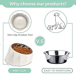 Elevated Dog Bowl for Small Dogs, Tilted Dog Bowl Dog Dish with Detachable Melamine Stand, Dog Food Bowl for French Bulldogs, Puppies, Cats, Non-Skid, Easier to Reach Food