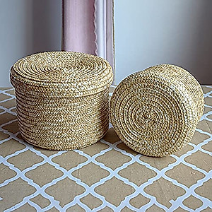 Adarl Decorative Baskets with Lid, Woven Storage Baskets for Home Office Decor