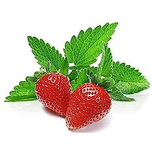 100+ Strawberry Mint Herb Seeds Non-GMO Fragrant Rare! US Grown!
