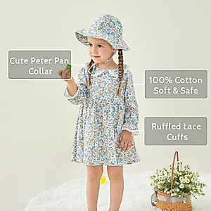 pureborn Toddler Girls Floral Dress Long Sleeve Spring Fall Playwear Dresses Floral Blue 2-3 Years
