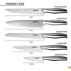 Fashionwu 5pcs Kitchen Knife Set, Stainless Steel Chef Knife Set, Kitchen Knives Set with Transparent Cover, Non-Slip Handle, Santoku Knife, Serrated Bread Knife, Kitchen Cooking Set with Gift Box