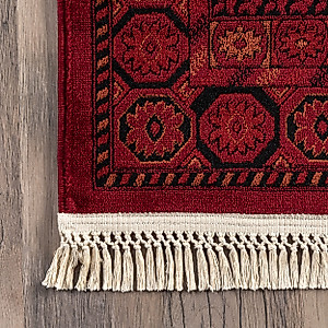 nuLOOM Billie Traditional Paneled Fringe Area Rug, 4x6, Red
