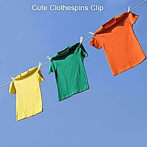 100 Pcs Mini Clear Photo Clips, Mini Clothespins Clip, Clothes Line Clips, Mini Transparent Plastic Clips