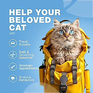 CHEWIA Cat Calming Treats - Hemp Calming Care for Cats - Cat Anxiety Relief - Storms, Travel, Grooming, Separation