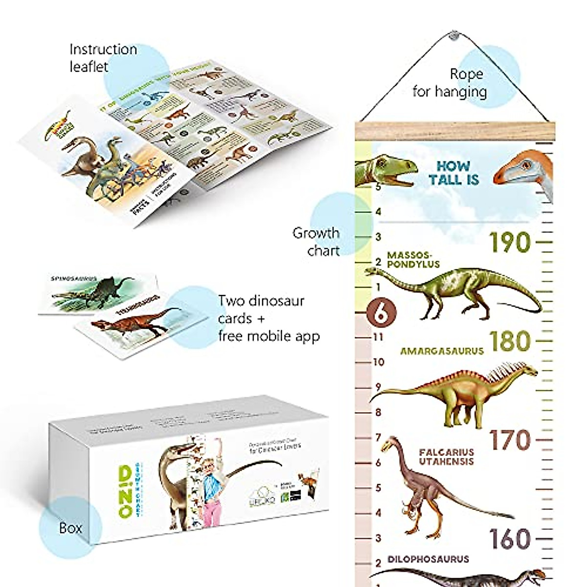 LIFELIKO Personalised Growth Chart for Dinosaur Lovers, Removable Wall Ruler for Boys and Girls, Kid’s Room Decoration (White)