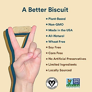 Benefit Biscuits, All Natural Dog Treats, Certified Vegan, Non GMO, Wheat Free, Healthy Dog Biscuits, Made in USA (Pumpkin, Large Bag (1lb))