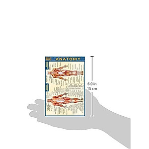 Anatomy (Quick Study: Anatomy)