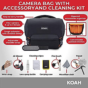 Tamron 28-200mm f/2.8-5.6 Full-Frame Lens for Sony E Mount Cameras Bundle with Roebling Camera System Gadget Bag with Accessory Kit and 67mm 3-Piece Lens Filter Kit (3 Items)