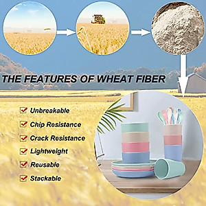 Plastic Plates and Bowls Sets, 20pcs Wheat Straw Dinnerware Sets, Kitchen Plates Cups and Bowls Set, Camping Reusable Plates and Bowls Sets, TIMDAM Lightweight Bowls, Unbreakable Dinner Plates