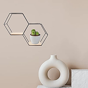 UKCOCO Home Décor Wall Mounted Hexagonal Floating Shelves, Black Metal Wire Dual Hexagon Wall Shelves for Home, Kitchen, Office Botanical Decor