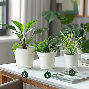 T4U 4 Inch Plant Pots 8-Pack - Small Plastic Planter with Drainage Hole and Saucer, Decorative Nursery Pot Bulk for African Violet, Snake Plant, Succulent and All House Plants Indoor (White)