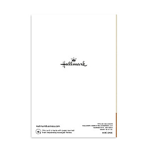 Hallmark Business (25 Pack) Employee Appreciation Cards (Talented and Valued) for Employee Recognition, Staff, Volunteers, Schools, Teachers, Hospitals, Nurses, Healthcare, Hospice Care