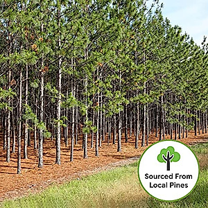 Perfect Plants Premium Orchid Bark 4qt. | Mulch Mix for Epiphytic Plants | Base for Orchid Potting Soil Substrate