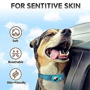 Reflective AirTag Dog Collar, FEEYAR Padded Apple Air Tag Dog Collar, Heavy Duty Dog Collar with AirTag Holder Case, Adjustable Air Tag Accessories Pet Collar for Small Medium Large Dogs