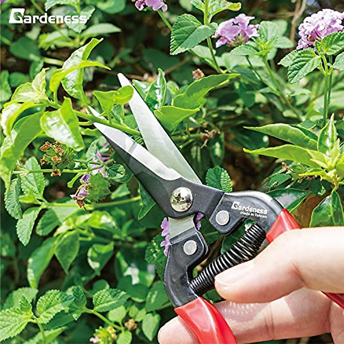 Gardeness Pruning Shear Straight Pruning Snip with SK5 Steel Serrated Blade, Adjustable Joint Screw Micro Tip Garden Scissor for Arranging, Trimming, Harvesting Fruit, Vegetables, Made in Taiwan