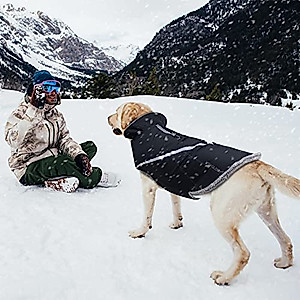 VIVAGLORY Cold Weather Dog Coats, Warm Dog Fleece Vest Jacket with Two-Way Zipper Opening, Dog Coats Pet Jacket with Fleece Lining for Small Pets, Black XXS