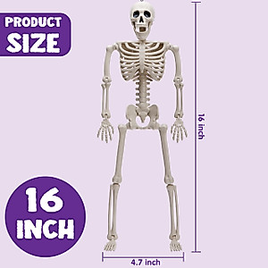JOYIN 3 PCS Halloween Hanging Skeletons 16" Full Body Posable Joints Movable Plastic Bones for Halloween Party Outdoor Indoor Decor, Yard Patio Lawn Garden Props Decorations
