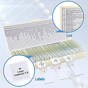 60 Microscope Slides with Specimens for Kids, Prepared Microscope Slides for Kids Microbiology, Prepared Microscope Slides for Adults