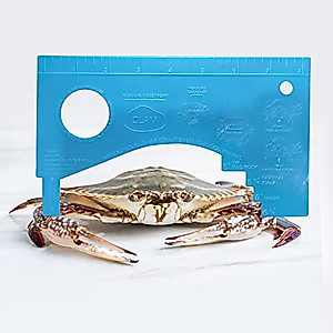 PLIS Dungeness Crab Gauge Measure Multi Shrimp Clam Measuring Tool for Oregon, Washington and California (Blue)