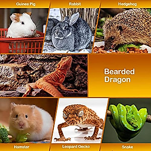 WATFOON Adjustable Lizard Leather Leash Harness and Bearded Dragon Carrier Sling, Reptile Small Pet Training Leashes and Beardie Snuggle Sling Bag for Outdoor Travel(XL Grey Sling)