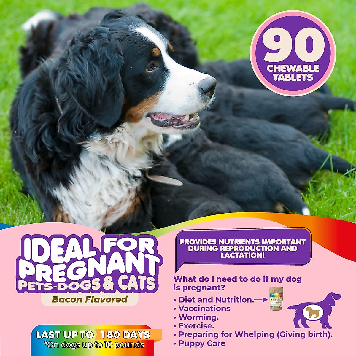 Prenatal Dog Vitamins – Multivitamin for Dogs and Cats with Folic Acid, Minerals and Amino Acids. Ideal for Pregnant, Breast Feeding and Newborn Pets – Senior Dog Supplement, Complete Puppy Vitamins.