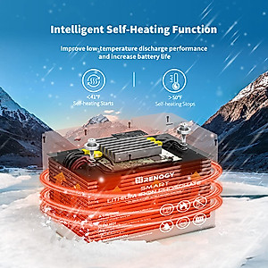 Renogy 2 Pack Smart Lithium-Iron Phosphate Battery 12V 100Ah w/Self-Heating Function for RV, Solar, Marine, and Off-Grid Applications