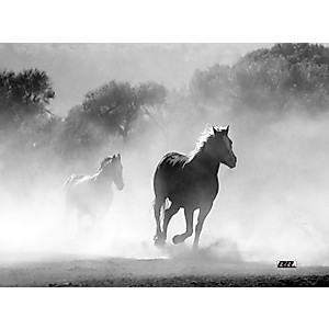 Wild Running Horses Black and White Art Kitchen Glass Cutting Board Decorative Gift Design