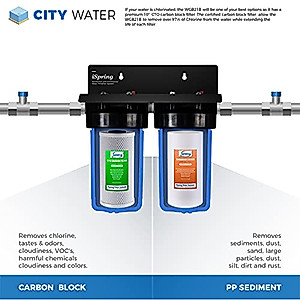 iSpring F4WGB21B Whole House Filtration High Capacity Sediment and CTO Carbon Block Water Filter Replacement Cartridge Pack Set for WGB21B, 4.5"x10", 4 Count (Pack of 1), White