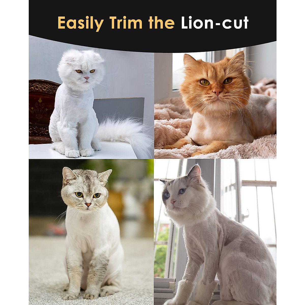 oneisall Cat Clippers for Matted Hair, Quiet Cat Shaver for Long Hair, Cordless Cat Hair Trimmer for Grooming, 2 Speed Pet Shaver Cat Grooming Kit for Cats Small Dogs Animals (Purple)…