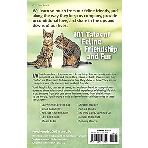 Chicken Soup for the Soul: Lessons Learned from My Cat