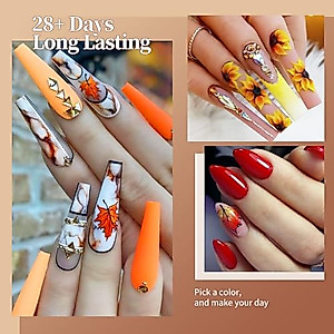 36 Colors Acrylic Powder Set - NICOLE DIARY Popular Acrylic Nail Powder Starter Set for Nail Extension, Nail Carving, Nail Salon & DIY Manicure at Home