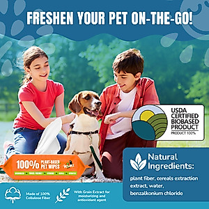 PET N PET Dog Grooming Wipes, 100% Plant Based Unscented Pet Wipes, Cleaning & Deodorizing for Dogs, 100 Counts