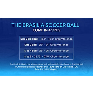 American Challenge Brasilia Soccer Ball (Blueberry, 5)