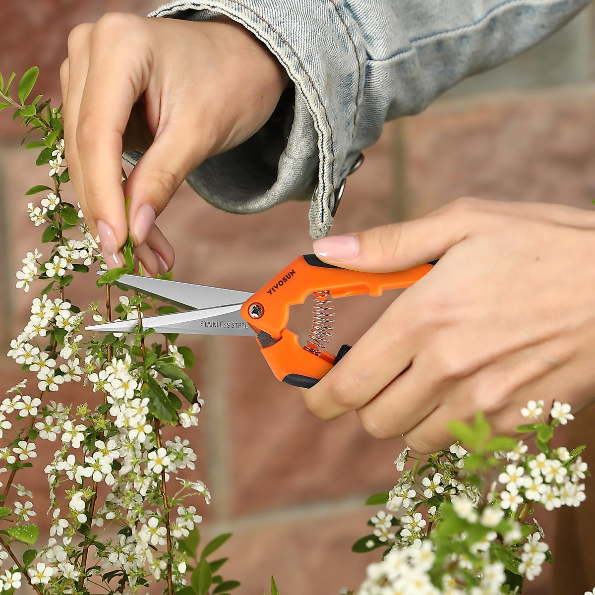 VIVOSUN 6.5 Inch Gardening Scissors Hand Pruner Pruning Shear with Straight Stainless Steel Blades Orange 1-Pack