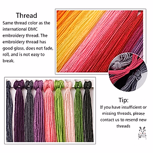 Stamped Cross Stitch Kits for Beginners Full Range of Cross Stitching Preprinted Pattern for Kids or Adults, DIY Needlepoint Starter Kits (The Lovely Cats 12.6x11 inch)