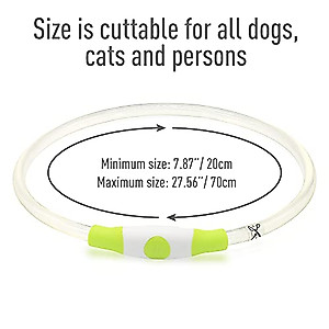 Colaseeme LED Dog Collar Light Up Dog Collars 1 Count USB Rechargeable TPU Glow Safety Basic Dog Collars for Large Medium Small Dogs (Green)