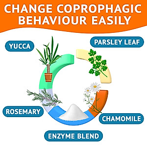 Omega 3 + No Poo Dogs Bundle - Skin & Coat + Coprophagia Treatment - EPA & DHA Fatty Acids + Probiotics & Digestive Enzymes - Heart, Hip & Joint Support + Boosts Gut Health - 300 Chews - Made in USA