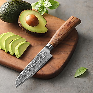 Wakoli Kitchen Knife Set, 4 Pieces Professional Chef Knife Set made from 67 Layers of Damascus Steel with VG10 Core, Damascus Knife with Ergonomic Pakkawood Handles in Wooden Gift Box (EDIB Pro 4-pcs)