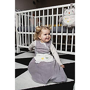 Tommee Tippee The Original Grobag, Baby Sleep Bag, 18-36 months, 2.5 Tog, Ollie the Owl