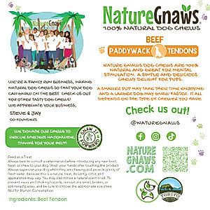 Nature Gnaws Beef Paddywack Tendons for Dogs 5-6" (10 Count) - Long Lasting for Aggressive Chewers - Natural Beef Dog Chew Bones - Rawhide Free